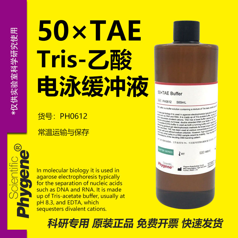 50×TAE缓冲液 Tris电泳缓冲液 TAE溶液 500mL [PH0612 PHYGENE]