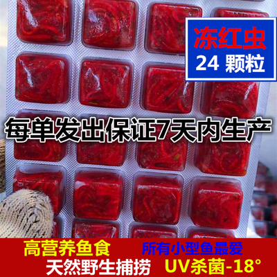 新鲜冰冻红血虫冷冻红线虫丰年虾