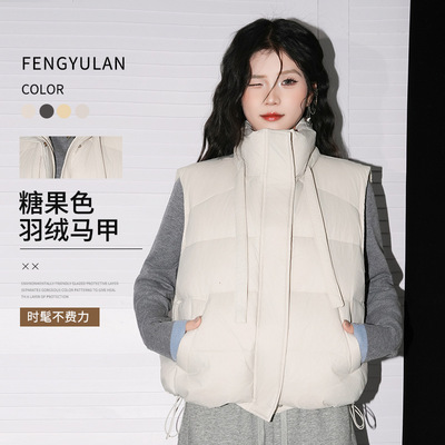 锋与兰 火锅羽绒马甲女90白鸭绒冬季叠穿背心立领泡芙外套 8085
