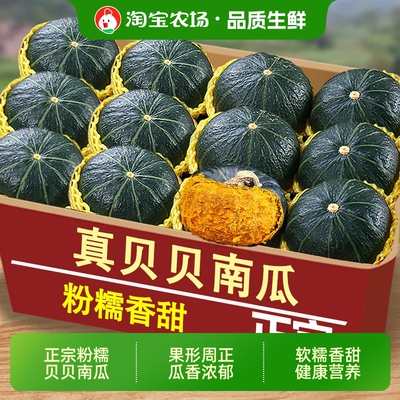 现摘香甜贝贝南瓜板栗味正宗小南瓜新鲜3斤果蔬老瓜粉糯甜包邮