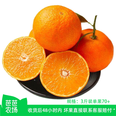 【芭芭农场兑换专享】青见柑3斤70mm+