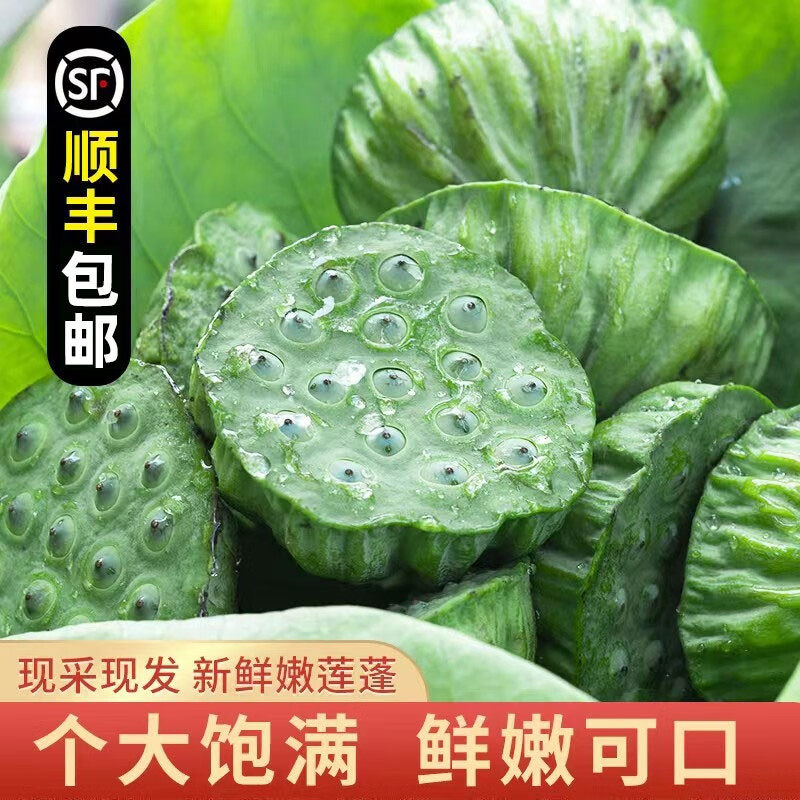 【现摘现发】新鲜现摘莲蓬新鲜生吃现摘莲子米水果莲蓬米宝宝可吃