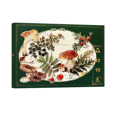 森林物志 吉积原创植物花卉风景插画 14张日番美绘创意复古清新治愈插画作品明信片感受对大自然的热爱以及对悠然生活的向往