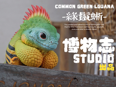 博物志原创｜2024吨吨蜥——绿鬣蜥仿真动物模型蜥蜴爬宠手办潮玩