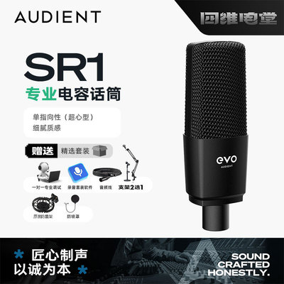 Audient专业大振膜电容麦克风
