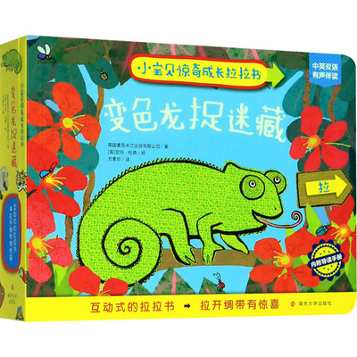 变色龙捉迷藏英国麦克米兰出版有限公司(Macmillan Publishers Ltd)9787305216817南京大学出版社