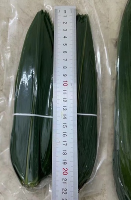 微绿田园  真空包装粽叶 约30公分 日料 中餐厅摆盘装饰 100片/包