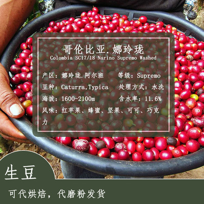 卡图拉哥伦比亚原产地直购