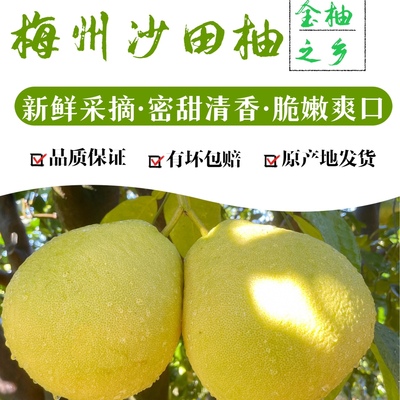 沙田柚新鲜水果顺丰包邮纯甜大果