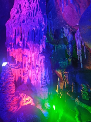 2025新年手机壁纸1毛钱专享发货升级优惠0.1元手机壁纸虚拟商品