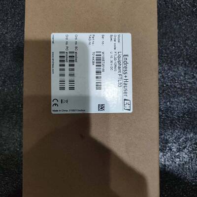 维修EndressHauser FTL3，工程剩余全新恩德斯豪斯议价