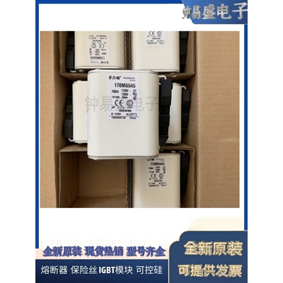 巴斯曼170M6083保险丝