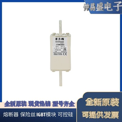 COOPER BUSSMANN熔断器170M3984 1000V 100A