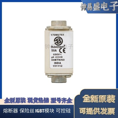 美国伊顿EATON  Bussmann熔断器170M2762