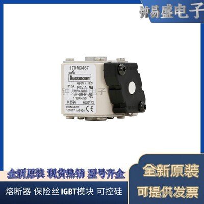 美国伊顿EATON  Bussmann熔断器170M3414