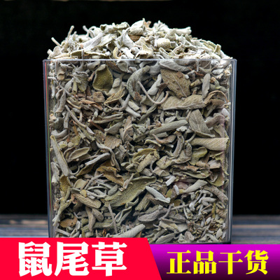 正品大叶鼠尾草碎干洋苏调味料