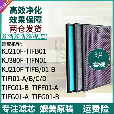 TIFC01/TIFG01/TIFI01滤网TIFH01