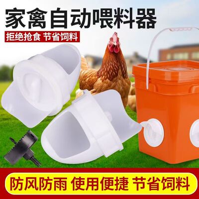新款家用自动喂鸡鸭食槽
