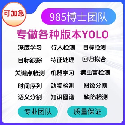 python机器学习深度学习神经网络opencv目标检测Yolo行人识别