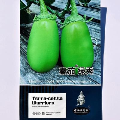 秦茄绿秀茄子种籽抗病杂交早熟绿圆茄新品种子春秋季育苗蔬菜种孑