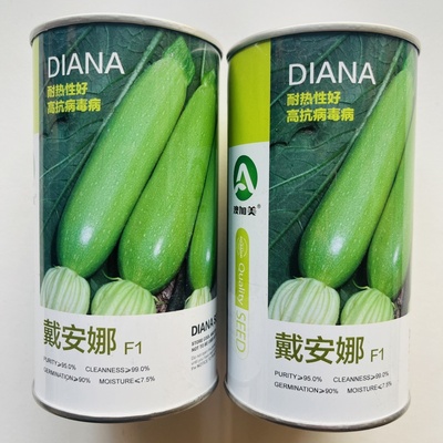 油亮西葫芦种子一代杂交抗病丰产南北方农家菜园春季播白瓜角瓜籽