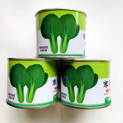 德赛寒美耐寒耐抽苔青梗菜种籽抗病耐寒耐抽苔早春越冬播青菜种子