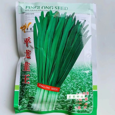 平龙韭王菜种韭王菜种子叶