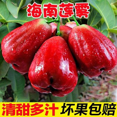 新鲜海南红宝石莲雾5斤热带水果
