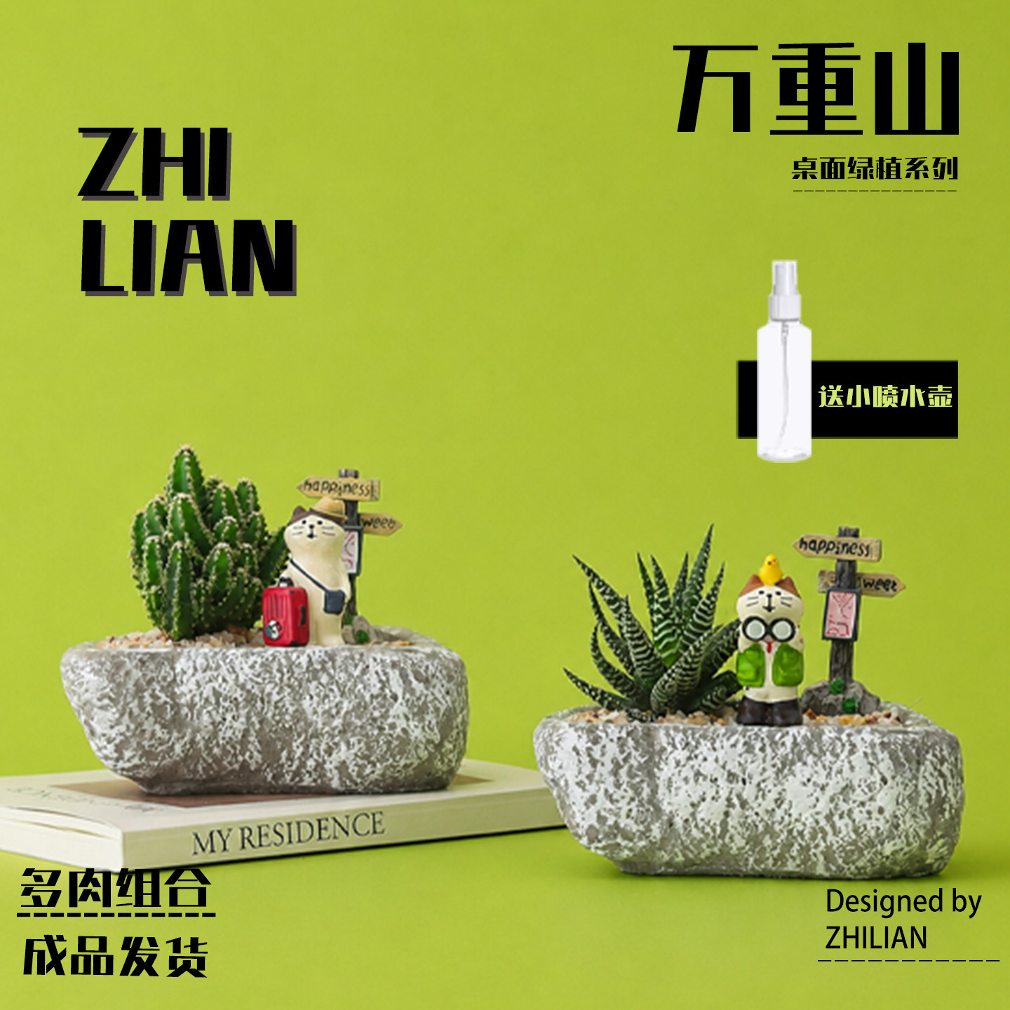 万重山绿植多肉植物室内工位稳定情绪神器十二卷盆栽盆景造景摆件