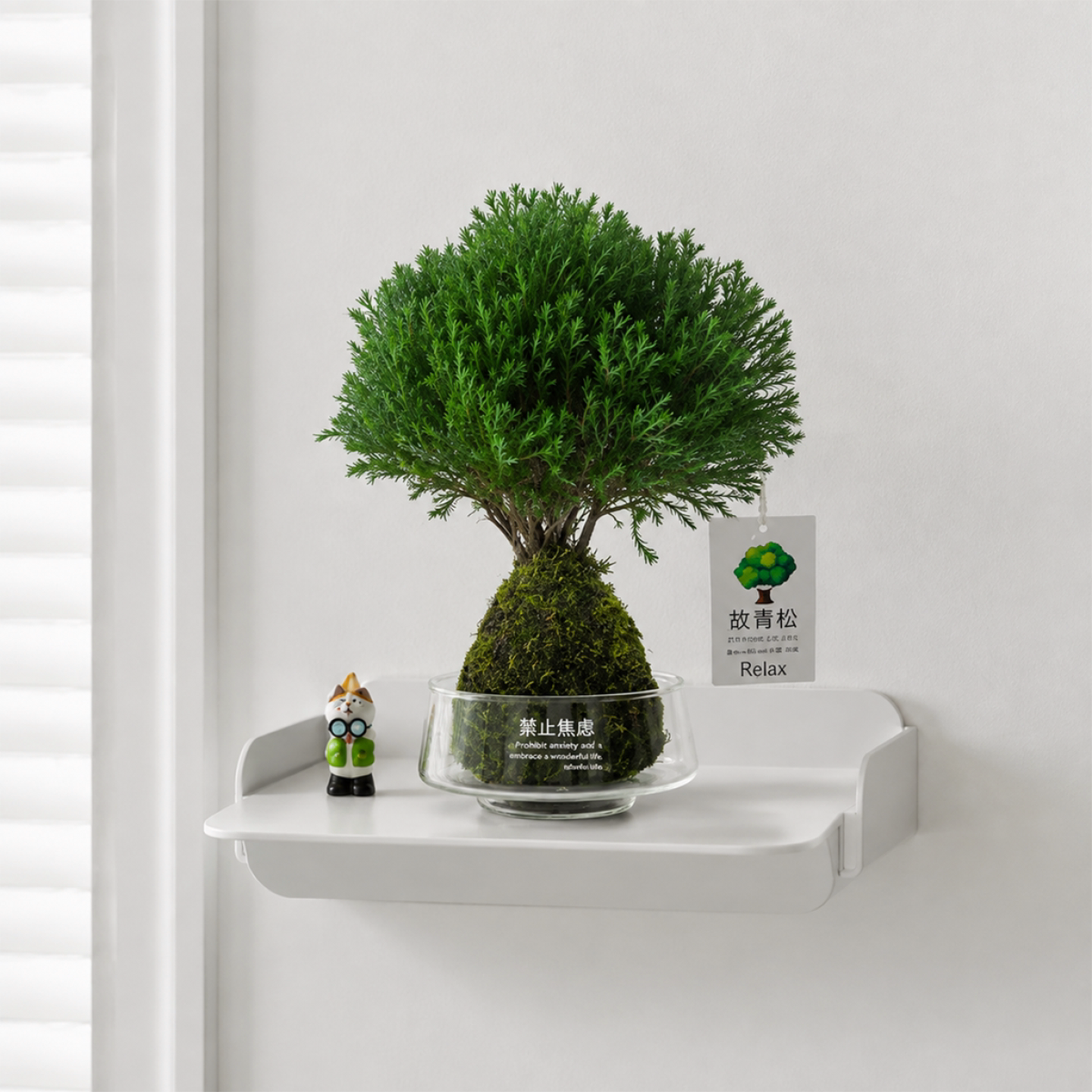 放青松雾凇苔藓球植物室内办公桌面绿植情绪稳定花卉雾松四季常青