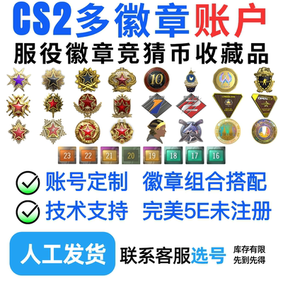 CSGO CS2优先服役多徽章账号完美5E平台未注册Alyx半衰期爱莉克斯