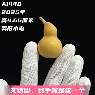 A1448高4.66厘米2025年精品手捻天津嘴异形小鸟葫芦