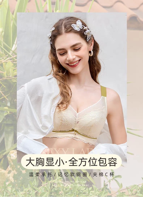 安芝娜9315软钢圈内衣女蕾丝大码薄款调整型收副乳大胸显小文胸