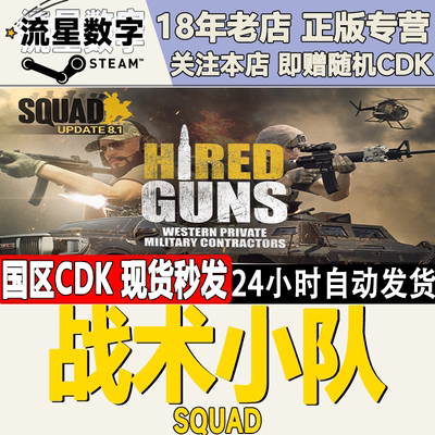 Steam战术小队国区KEY现货