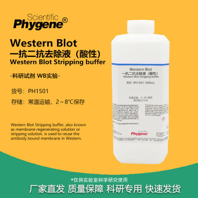 实验试剂WB一抗二抗洗脱液(酸性)