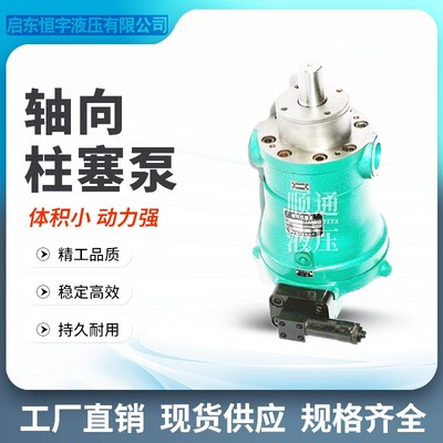 启东恒宇 柱塞泵 10/16/25/32/63/80/100/160/250/400PCY14-1B