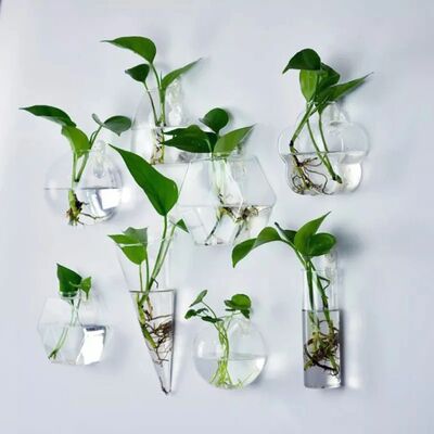 1Pc Wall Hanging Glass Flower Vase Terrarium Wall Fish Tank