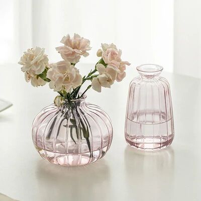 Decorative Flower Bottle Modern Mini Glass Vase for Flowers