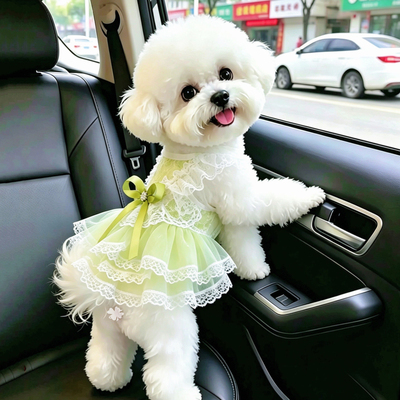 狗狗衣服夏装薄款猫咪公主裙抹茶芥末绿蕾丝裙小型犬比熊宠物5823