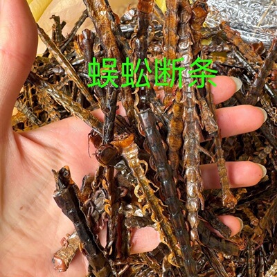 蜈蚣断条中药材蜈蚣断条蜈蚣断条蜈蚣断条蜈蚣断条蜈蚣断条蜈蚣断