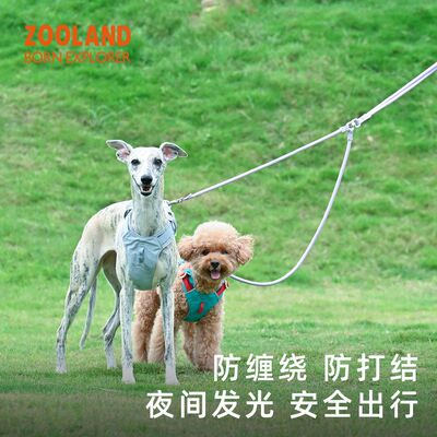 ZOOLAND一拖二遛狗双头牵引绳