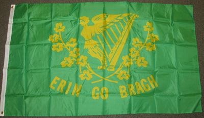 ERIN GO BRAGH IRISH BRAUGH IRELAND EIRE Flag亚马逊WISH EBAY