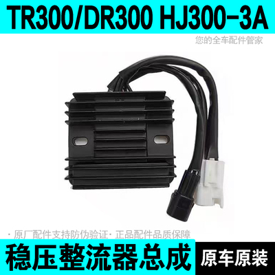 TR300/plusDR300稳压整流器总成