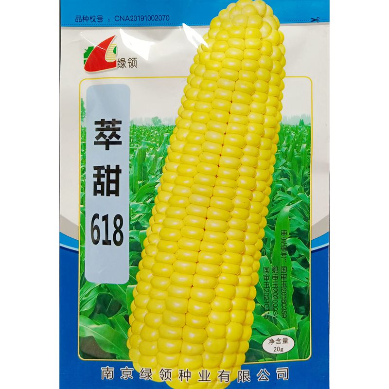 绿领萃甜618玉米种子大棒子杂交水果型鲜食黄粒甜脆苞谷种籽20克