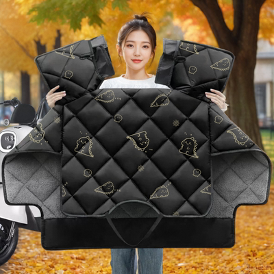 专用小牛NSTciti/sport挡风被