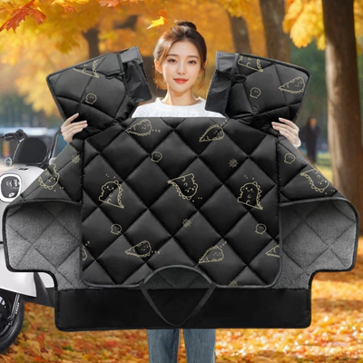 专用极核AE4/MaxMY2025挡风被