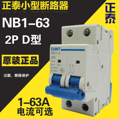 CHNT正泰 断路器NB1-63 2P D型 6A 10A 20A 25A 32A 40A 50A 63A