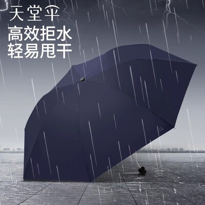 天堂伞晴雨两用纯色商务时尚抗风
