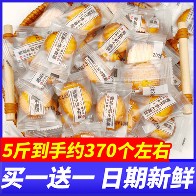 嘉宝海盐牛奶小圆饼饼干5斤整箱学生代餐点心办公下午茶休闲零食