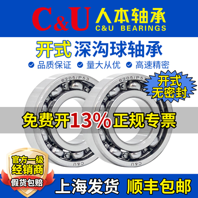人本6204轴承6203开式6206高速6205正品6201大全6202 6309/C36308
